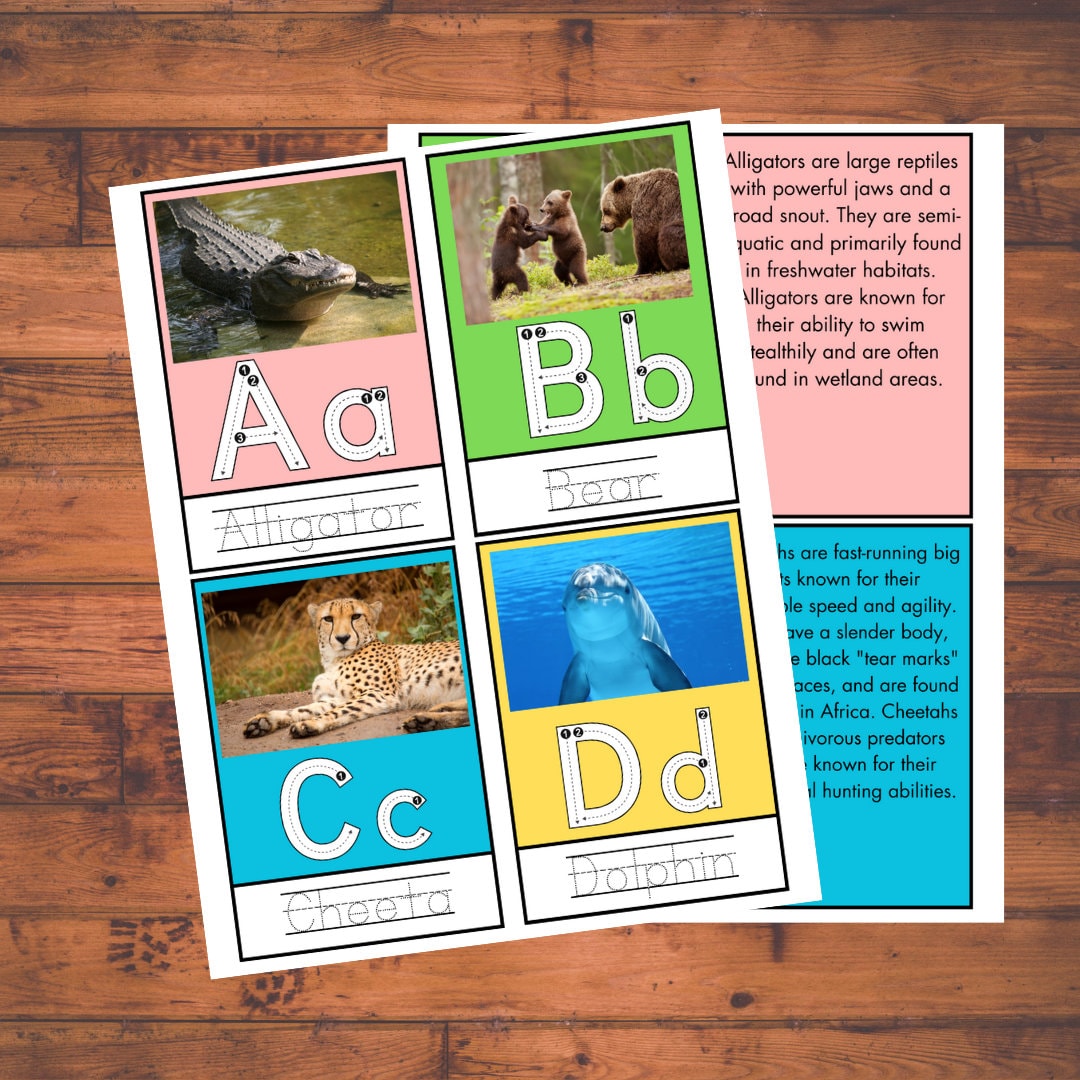 Printable Zoo Animal Flashcards - A to Z Alphabet Learning - Tracing ...