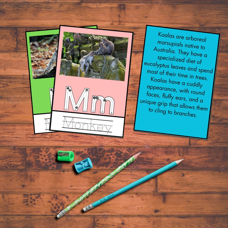 Printable Zoo Animal Flashcards - A to Z Alphabet Learning - Tracing ...