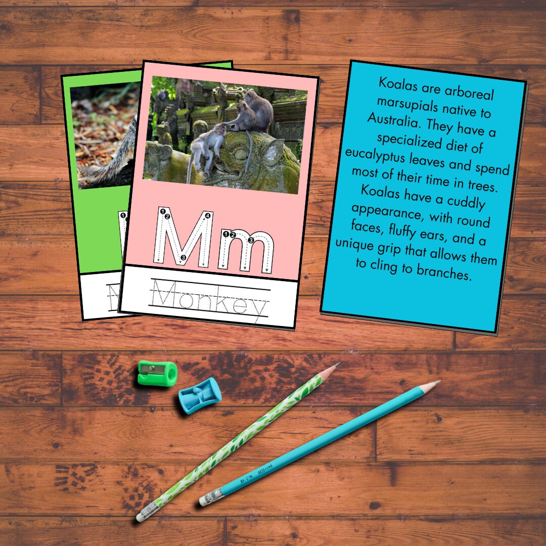 Printable Zoo Animal Flashcards - A to Z Alphabet Learning - Tracing ...