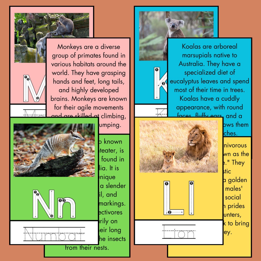 Printable Zoo Animal Flashcards - A to Z Alphabet Learning - Tracing ...