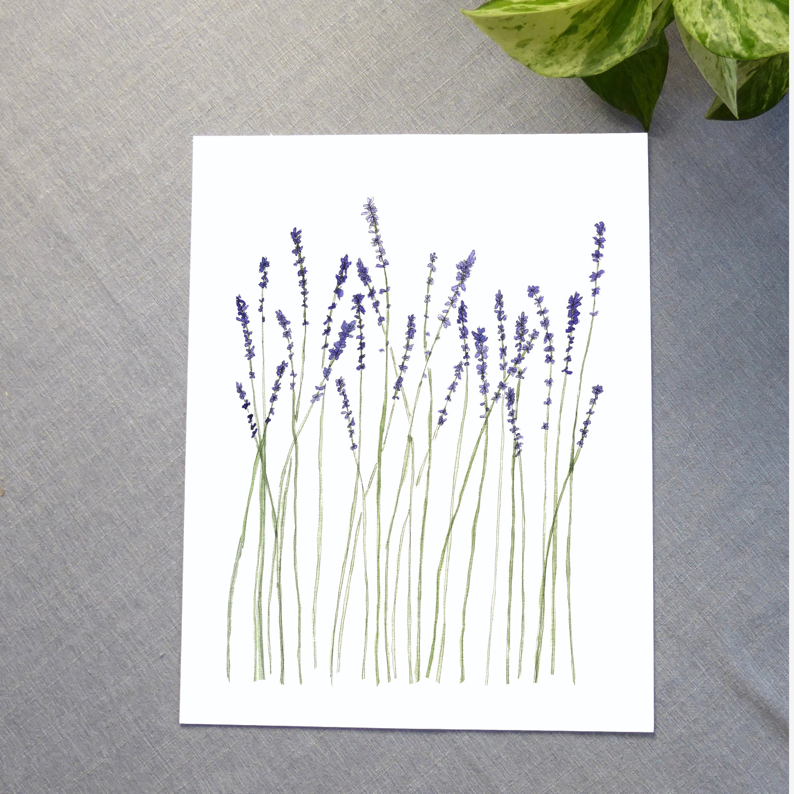 Lavender Watercolor Art Print | Sustainable Cotton Paper, Floral Wall ...