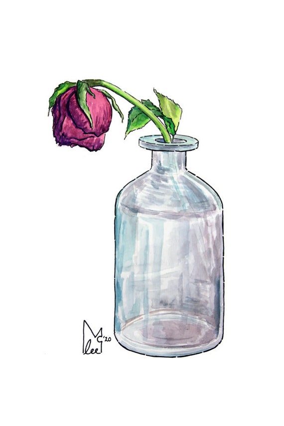 Dead Rose Drawing
