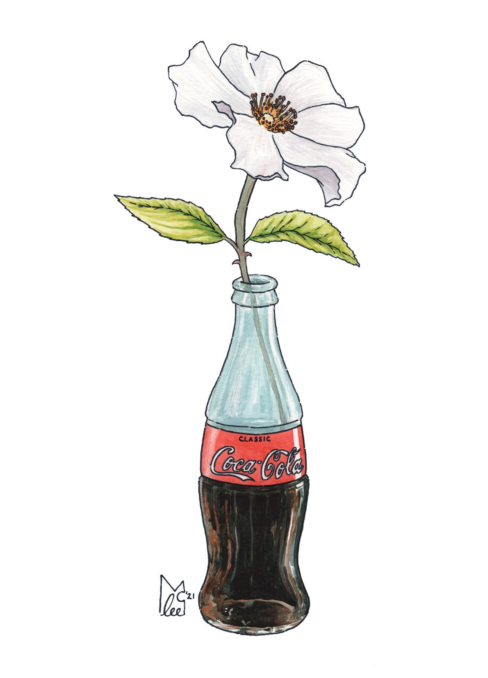 Georgia Cherokee Rose in Coca-cola Bottle 110 Art Greeting | Etsy