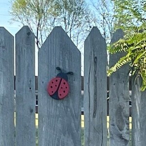 Poly Lady Bug, Outdoor Decor, Fence Decor, Durable, Bright Colors - Etsy