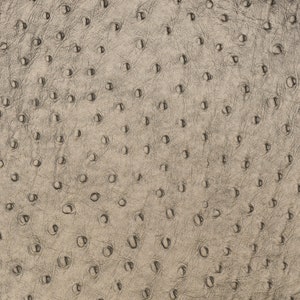 Ostrich - Vegan Faux Ostrich Print Vinyl Upholstery Fabric by the Yard ...