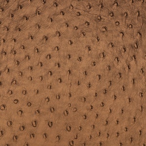 Ostrich - Vegan Faux Ostrich Print Vinyl Upholstery Fabric by the Yard ...