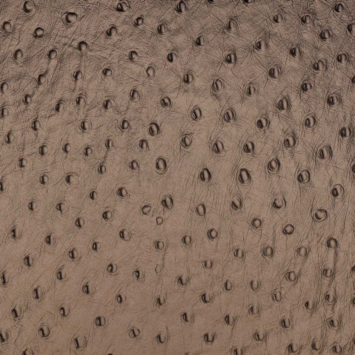 Ostrich - Vegan Faux Ostrich Print Vinyl Upholstery Fabric by the Yard ...