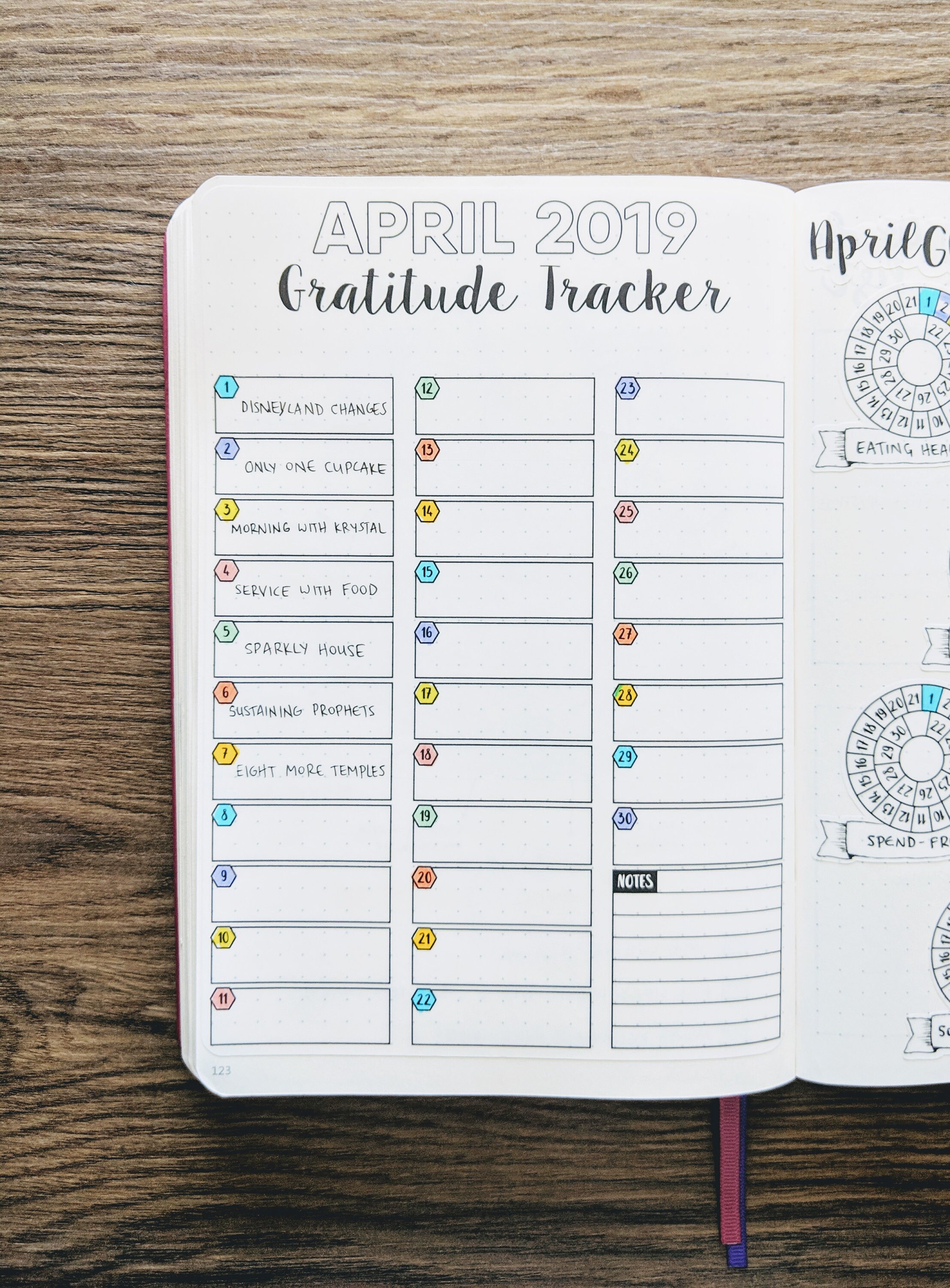 Digital Download 30-DAY GRATITUDE TRACKER A5 Bullet | Etsy