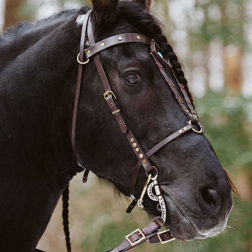 Show Bridle Baroque - Etsy