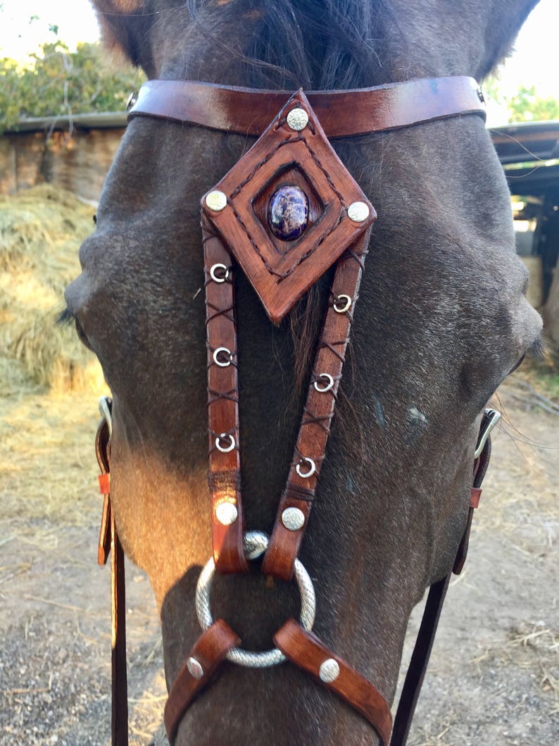 Show Bridle English Bridle Western Bridle Bitless Bridle - Etsy