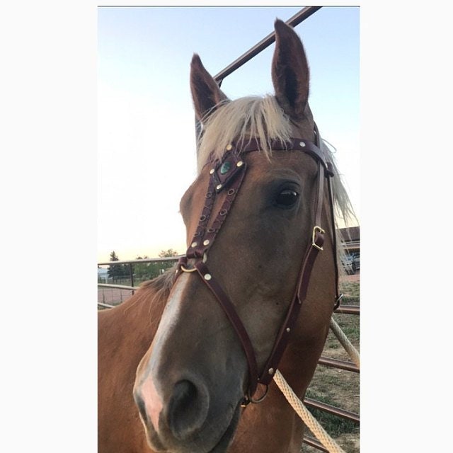 Western Bitless Bridle