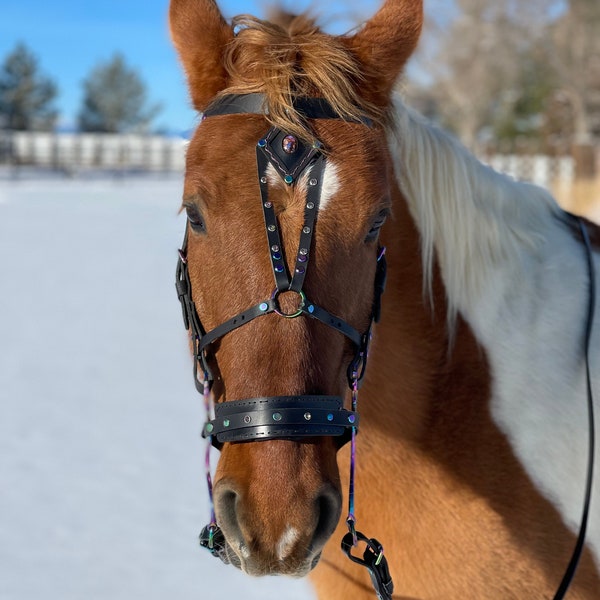 Bridle - Etsy
