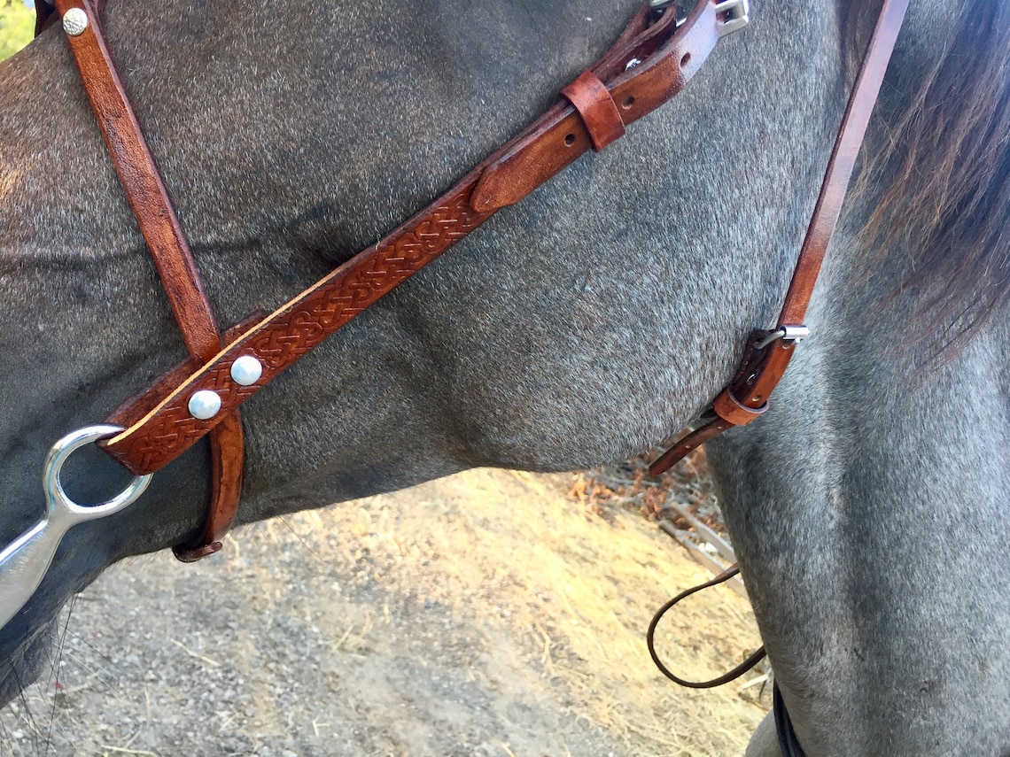 Show Bridle English bridle Western Bridle Bitless Bridle | Etsy