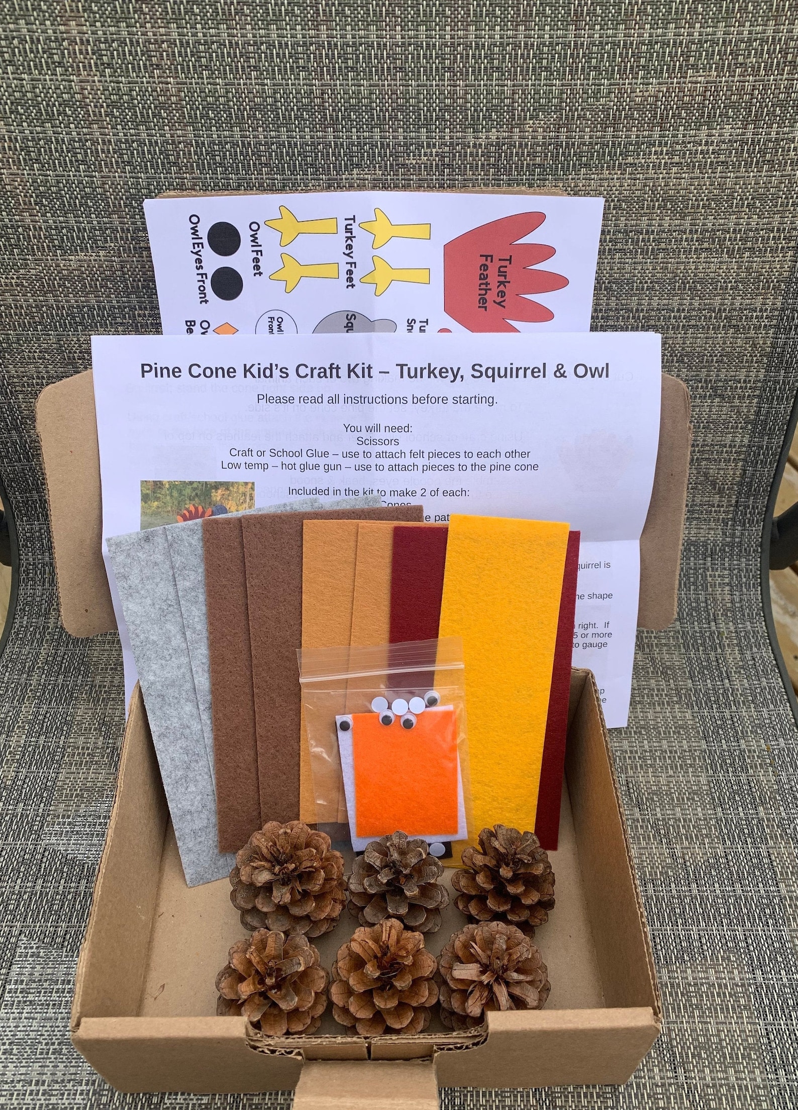 All INCLUSIVE Kit - You Just Cut & Add Glue! Pine Cone Kid's Craft Kit ...