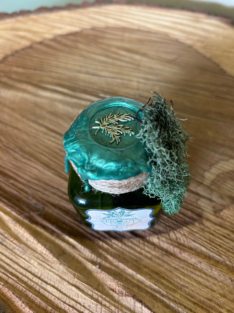 Mandrake Restorative Potion Bottle Harry Potter Bookshelf Decor ...