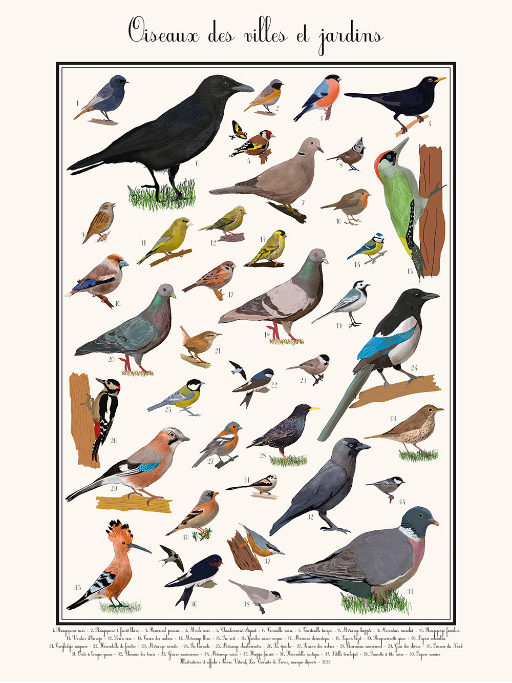 Affiche Oiseaux de France 50-70cm - Etsy France
