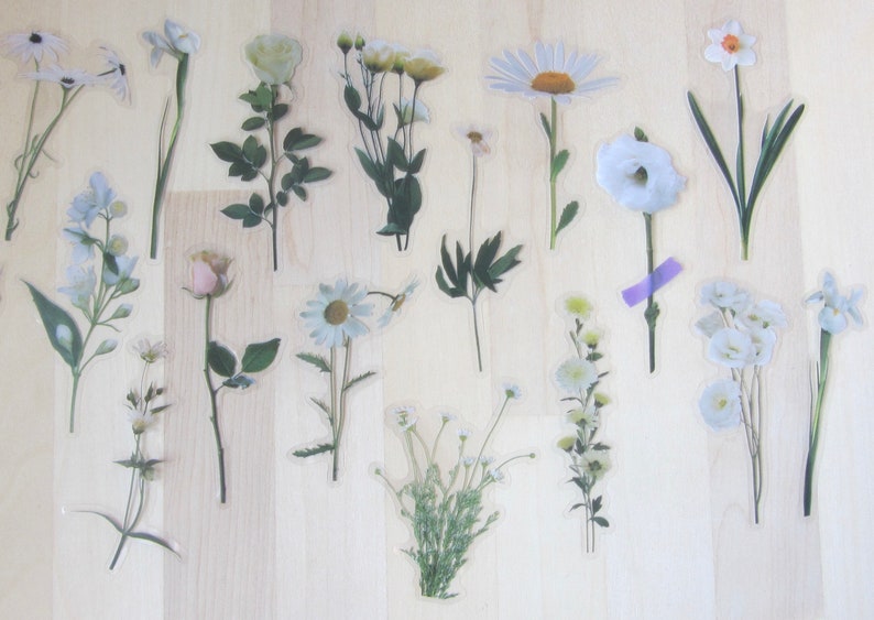 Wildflower White Realistic Flower Stickers Nature Garden | Etsy UK