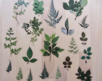 Large Leaf Stickers | Etsy