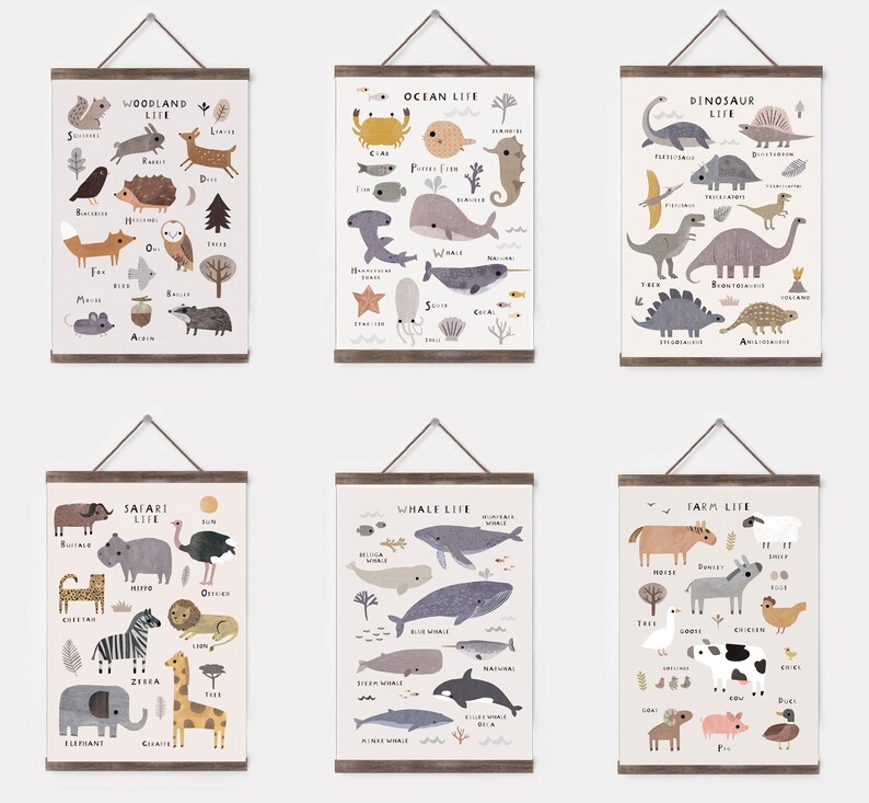 Set of 4 Educational Animal Nursery Prints - Etsy UK