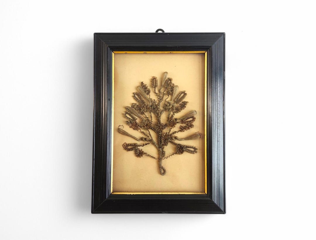 Antique Victorian Mourning Hair Art, Signed and Dated 1905 German ...