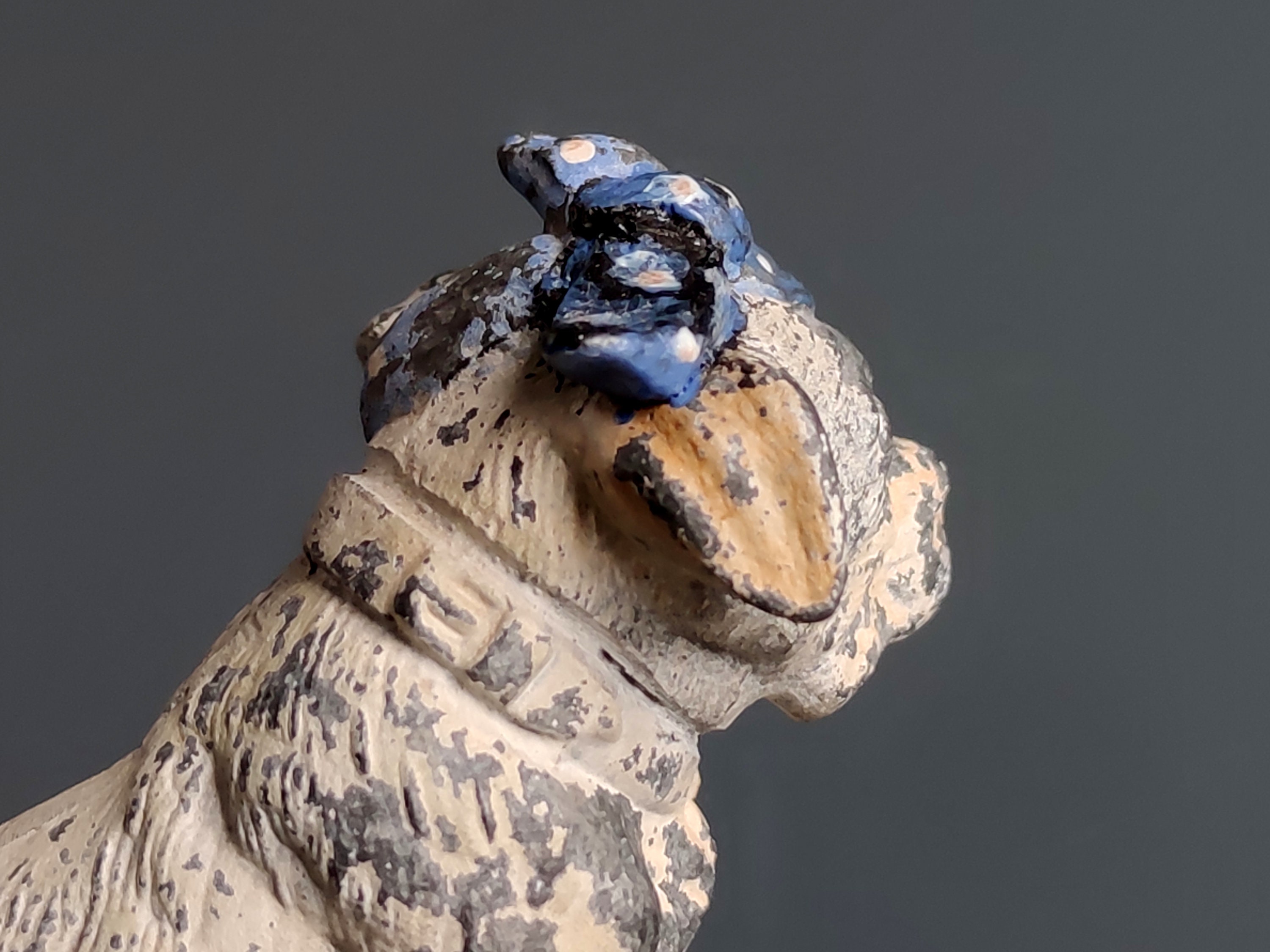 Antique Austria Cold Painted Metal Dog With a Bandage and Bowl, Early ...