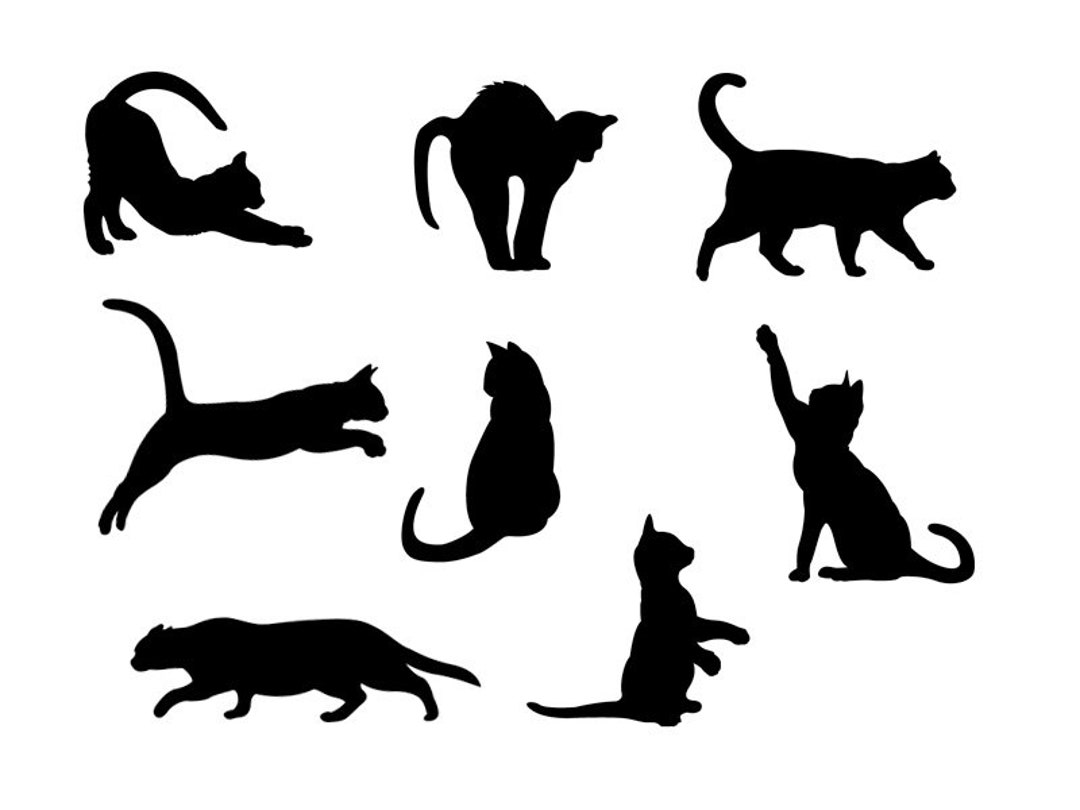 8 Pack Cats Vinyl Stickers in Various Poses. Great for Car Bumpers ...