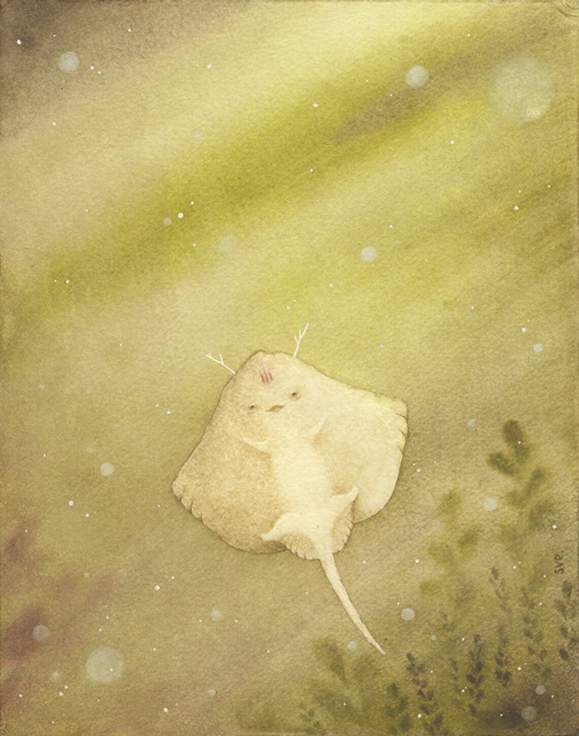 Rochenrochen Aquarell Meer Postkarte tanzender Baby Rochen | Etsy