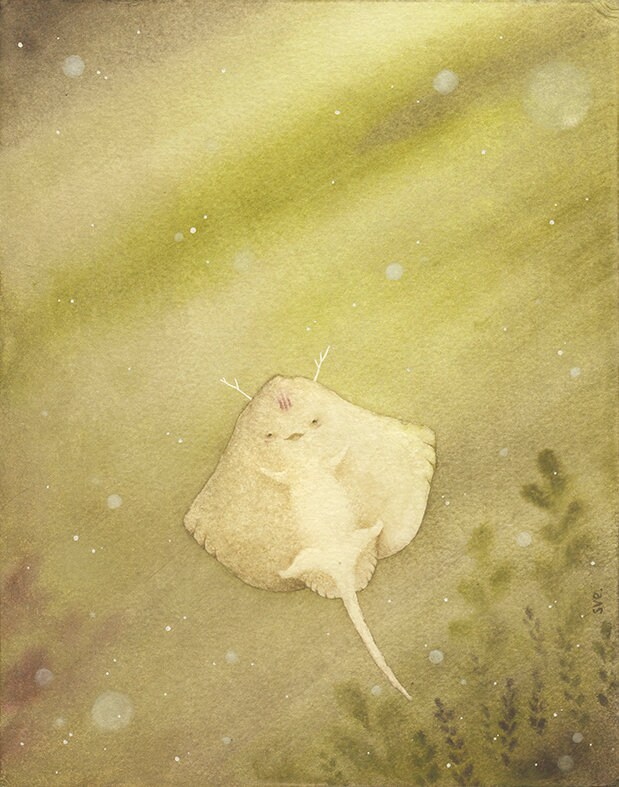 Rochenrochen Aquarell Meer Postkarte tanzender Baby Rochen | Etsy