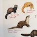Art Print Weasel Chart - Etsy UK