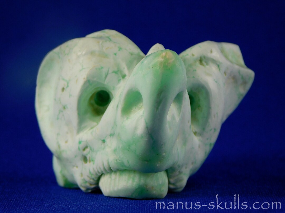 Cute Point Nose Manus Baby DRAGON Indonesian CHRYSOPAL ...... - Etsy ...