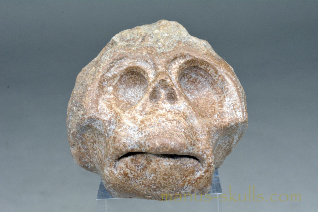 Austrian ARAGONITE Nodul Toothless Manus Child SKULL . - Etsy