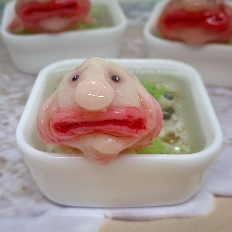 Blob Fish in Resin Pond Bowl Weirdo Gift Pet Blobfish - Etsy