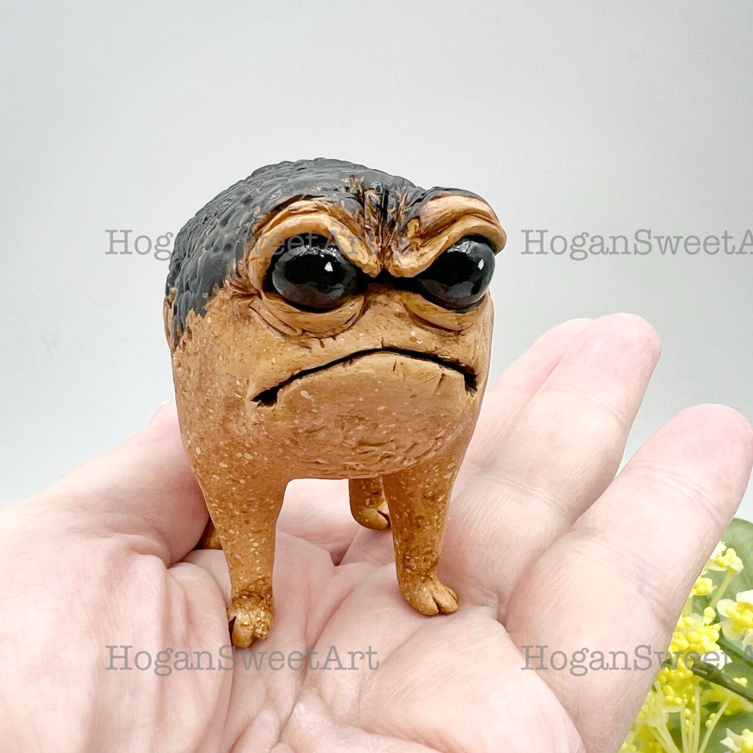 Original Art, Grumpy Black African Rain Frog Figurine, One of a Kind ...