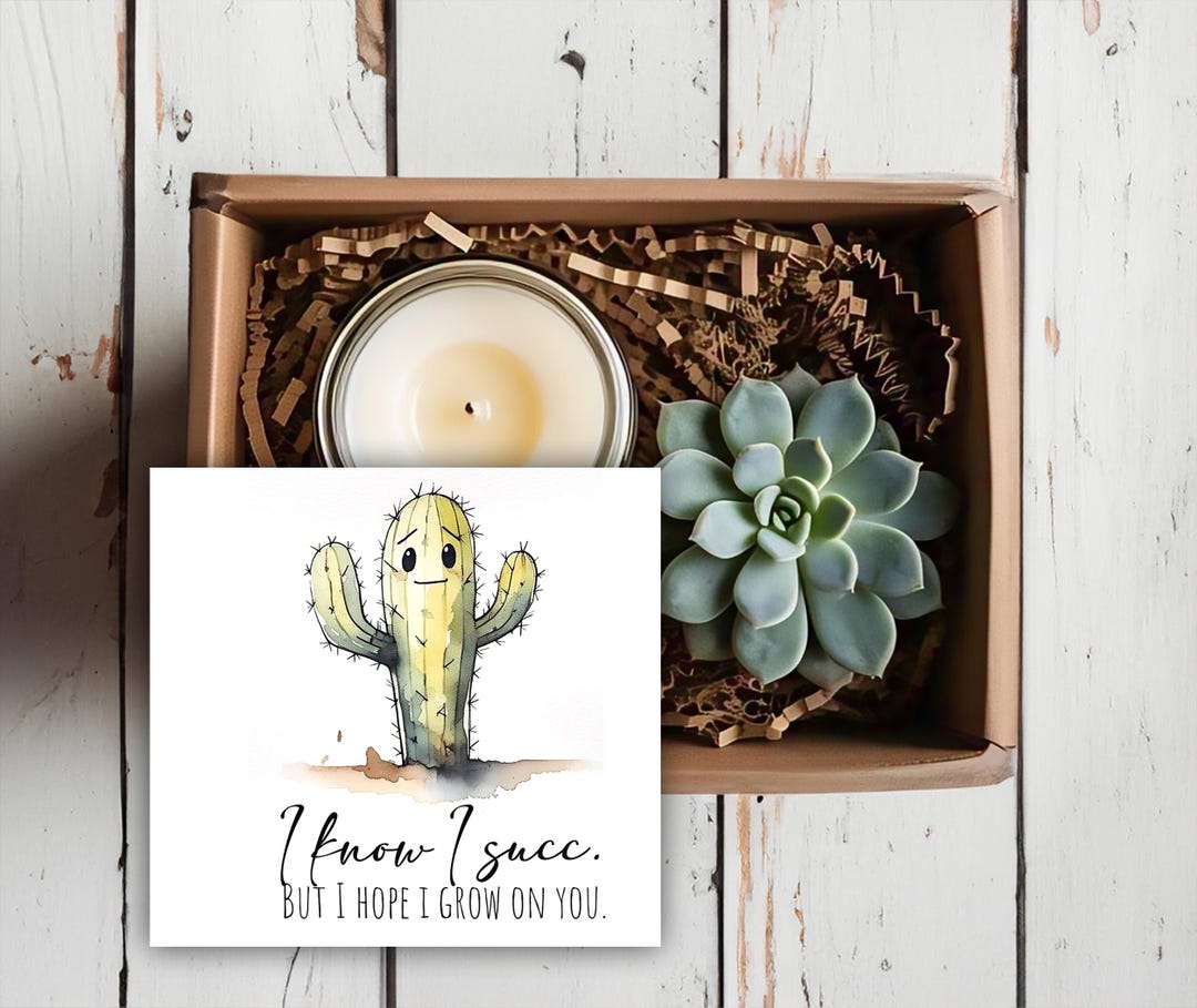 Apology Gift - I Know I Succ - I'm Sorry Succulent Mini Gift Box ...