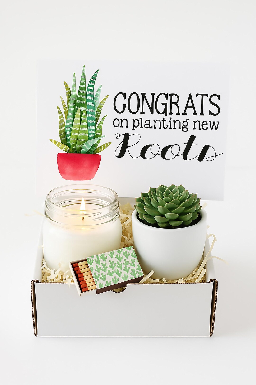 Congrats on the New Home - Moving Gift - Succulent Gift Box - Moving ...