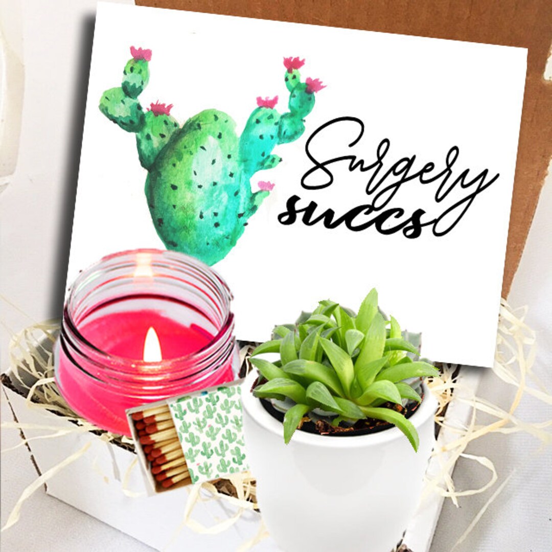Surgery Succs Succulent Gift Box - Hospital Gifts / Cancer Care Package ...