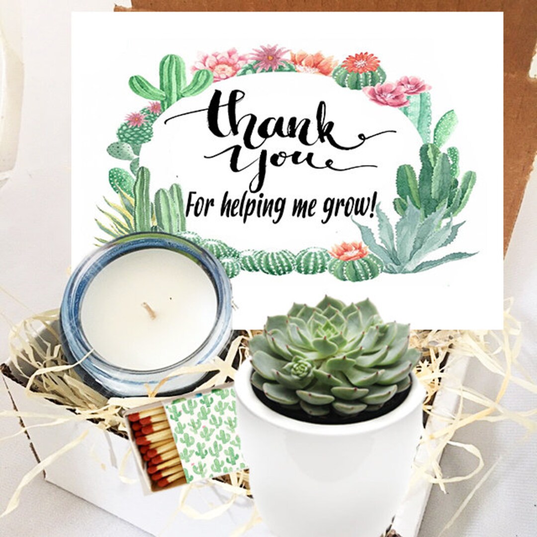 Thank You for Helping Me Grow Mini Succulent Gift Box Free Shipping ...