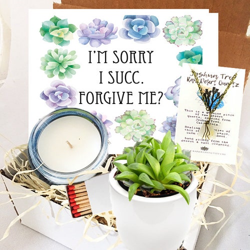 I Succ I'm Sorry Succulent Apology Gift Box Sunshine - Etsy