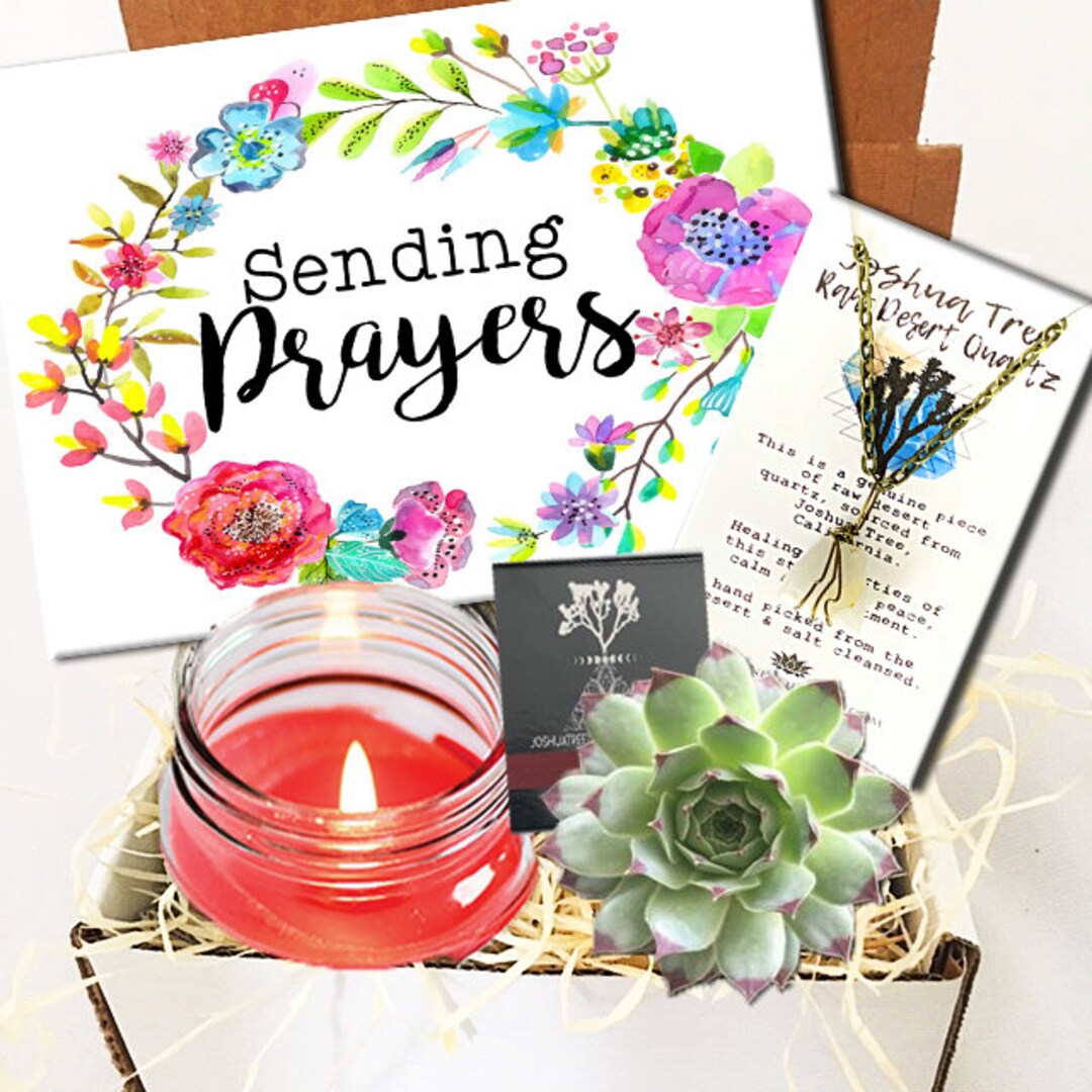 Sending Prayers Succulent Gift Box FREE SHIPPING cactus Gift Send A ...