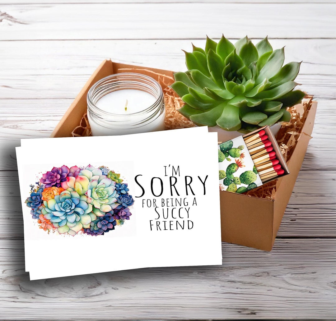 Succulent Apology Gift Box – 'sorry for Being a Succy Friend– Ceramic ...
