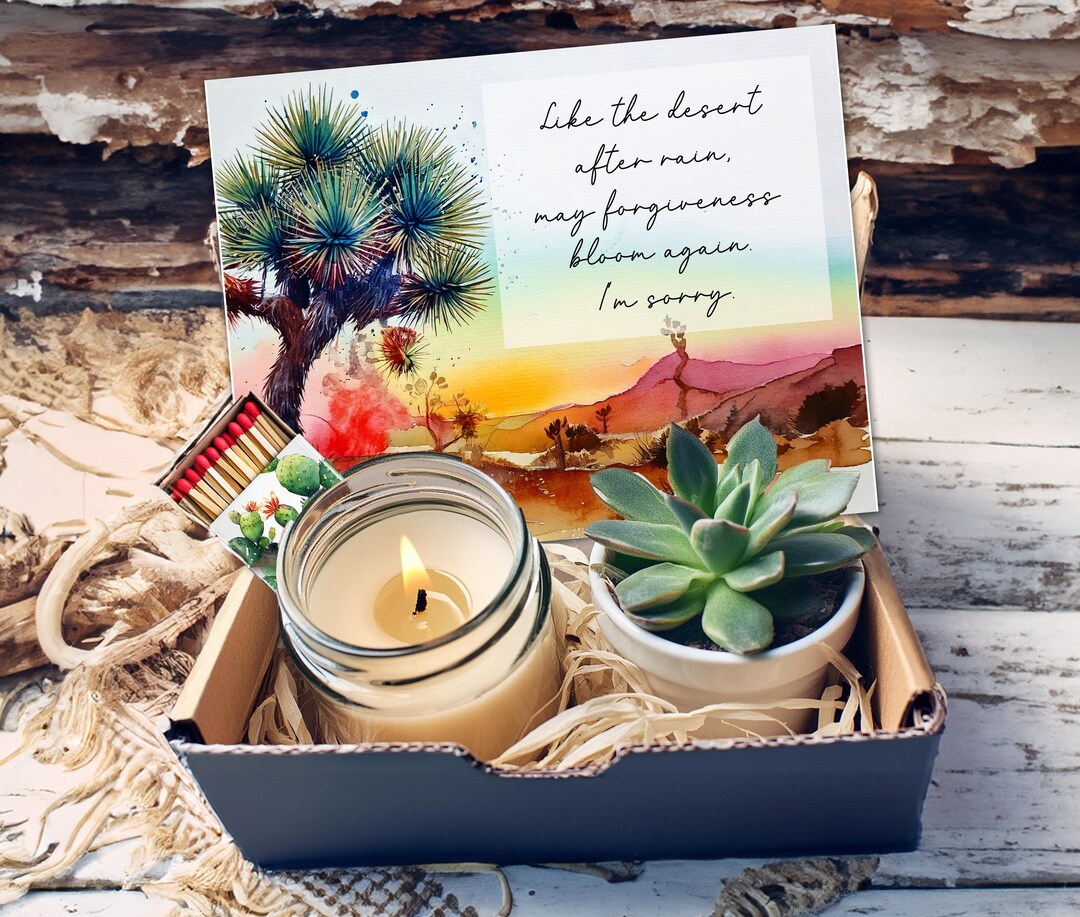 Succulent Apology Gift Box – Joshua Tree Themed I'm Sorry– Ceramic ...