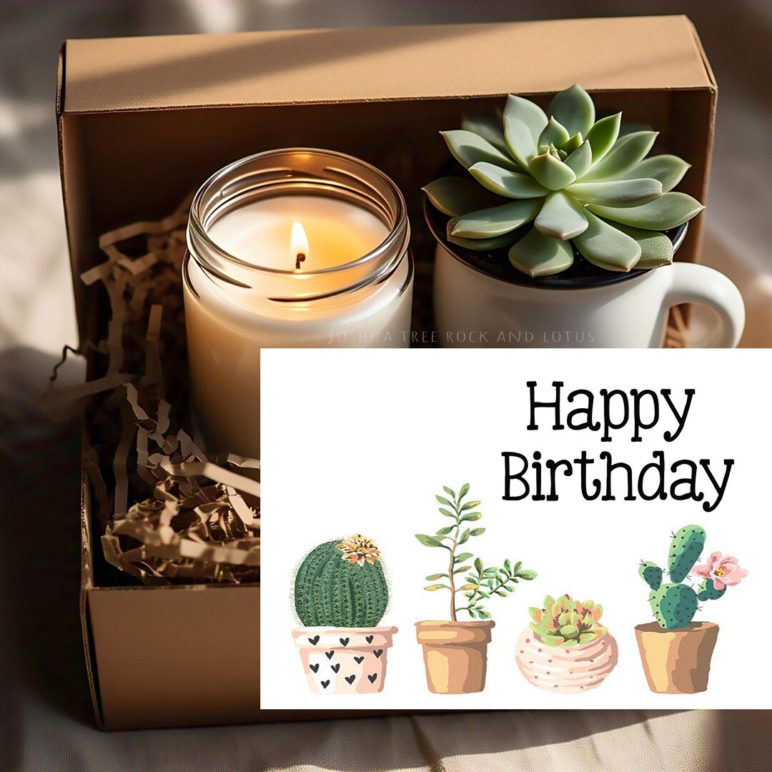 Happy Birthday Succulent Gift Box – Live Plant, Candle, Matches & Card ...