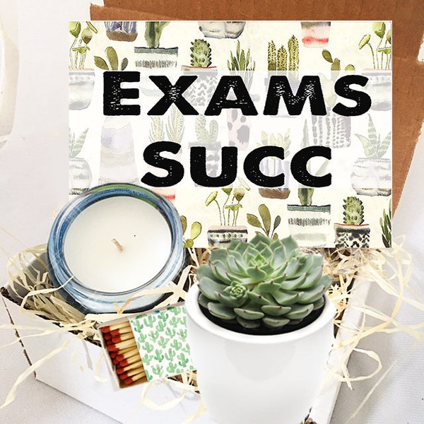 Exam Care Package - Etsy