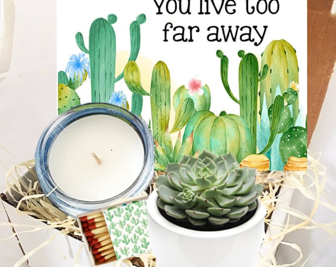 I Miss You Succulent Gift Box, I Miss Your Face, Best Friend Gift Set ...