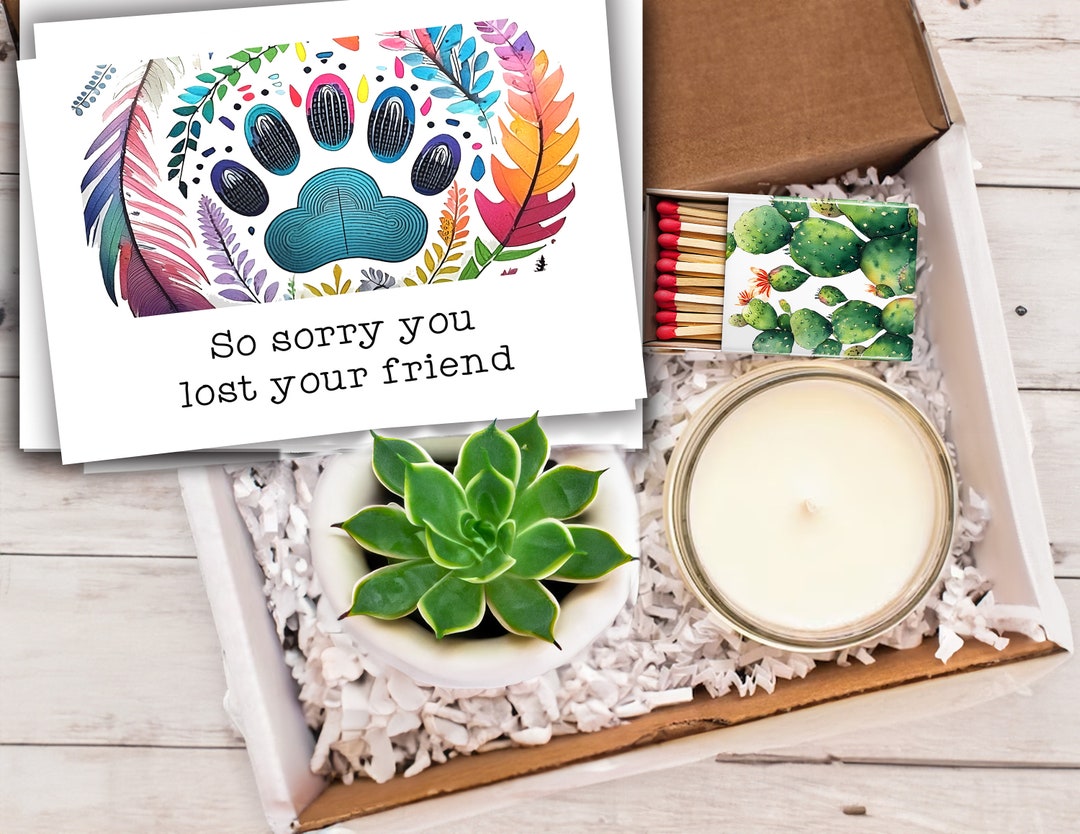 So Sorry You Lost Your Friend - Live Succulent Pet Sympathy Gift Box ...