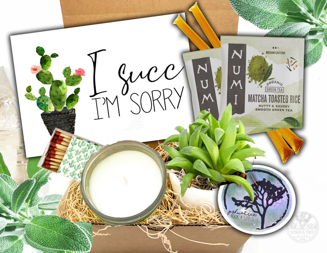 Apology Gift I Succ I'm Sorry Succulent ,tea & Candle Gift Box Sunshine ...