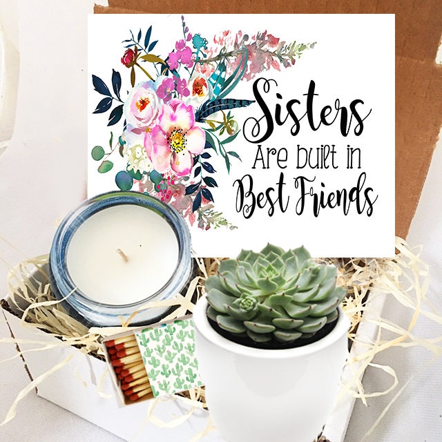 Sisters Succulent Gift Box Set Free shipping Joshua Tree | Etsy