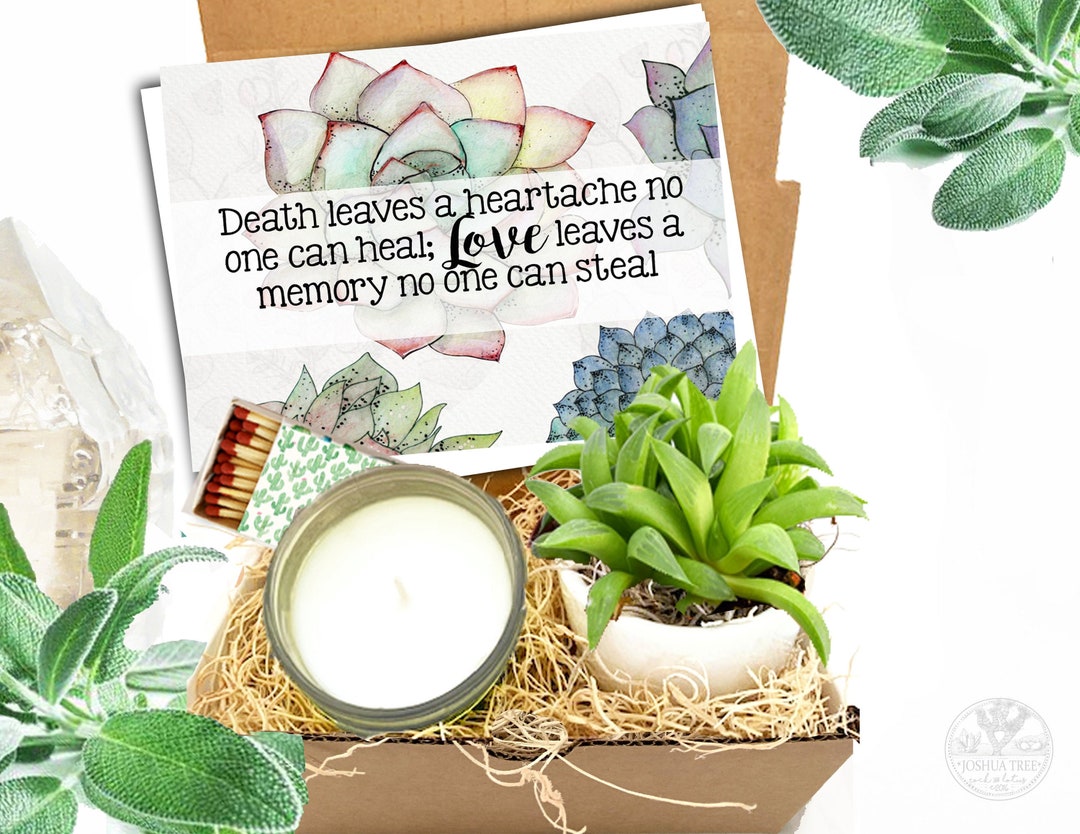 Bereavement Sympathy Gift Box for Loss of Loved One -succulent and ...