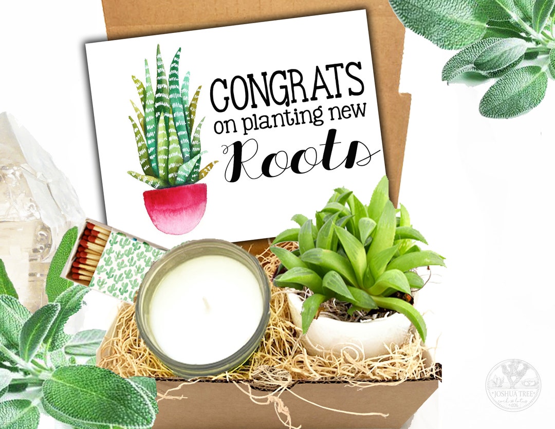 Congrats on Planting New Roots Welcome to Our Neighborhood Succulent ...