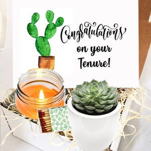 Congratulations on Your Tenure Live Succulent Gift Box | Etsy